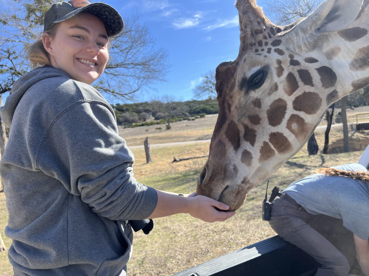 Why Do We Tag Hoofstock? - Fossil Rim Wildlife Center