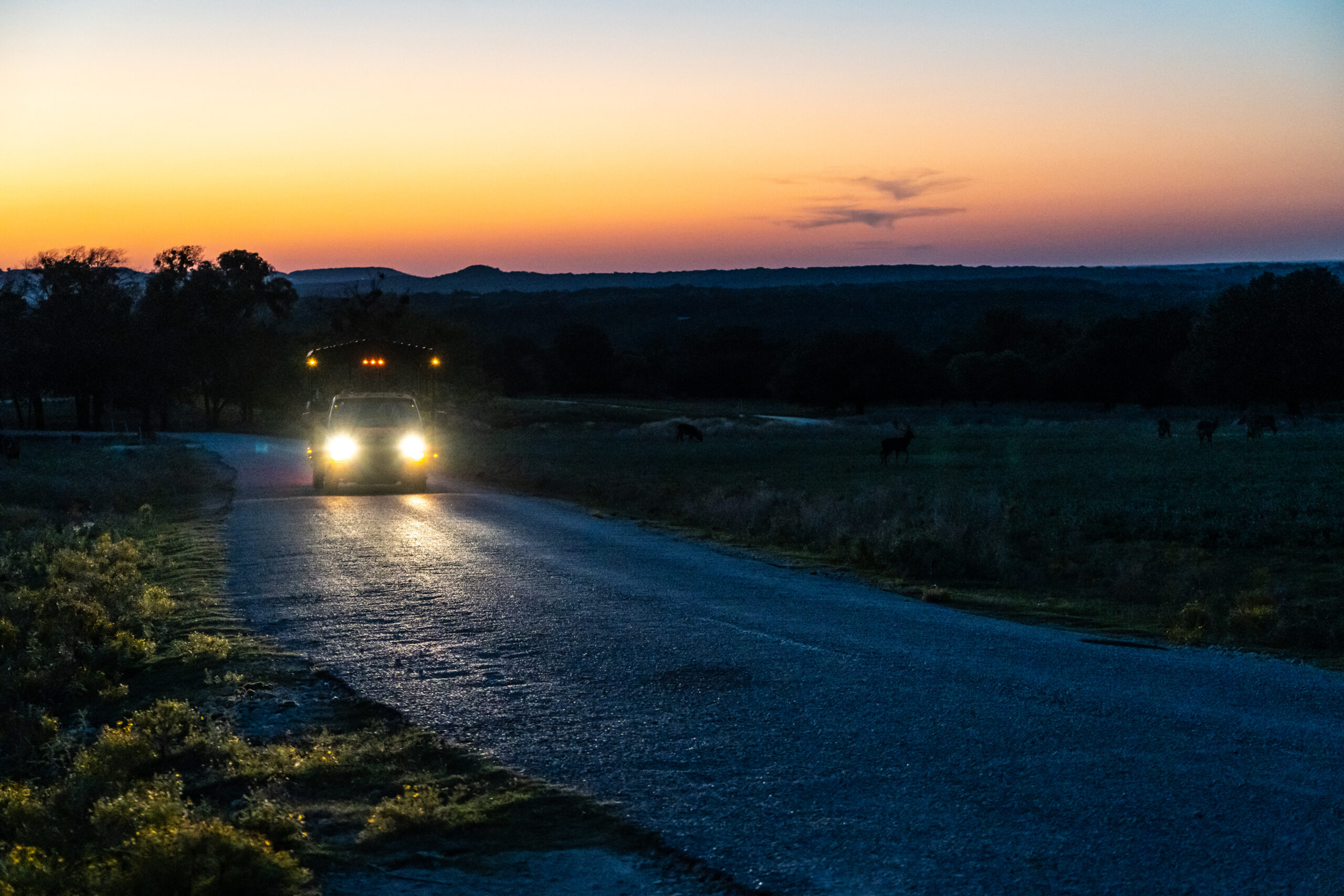 Ready for the Night Shift? Twilight T.W.A.N.G. is Back - Fossil Rim ...
